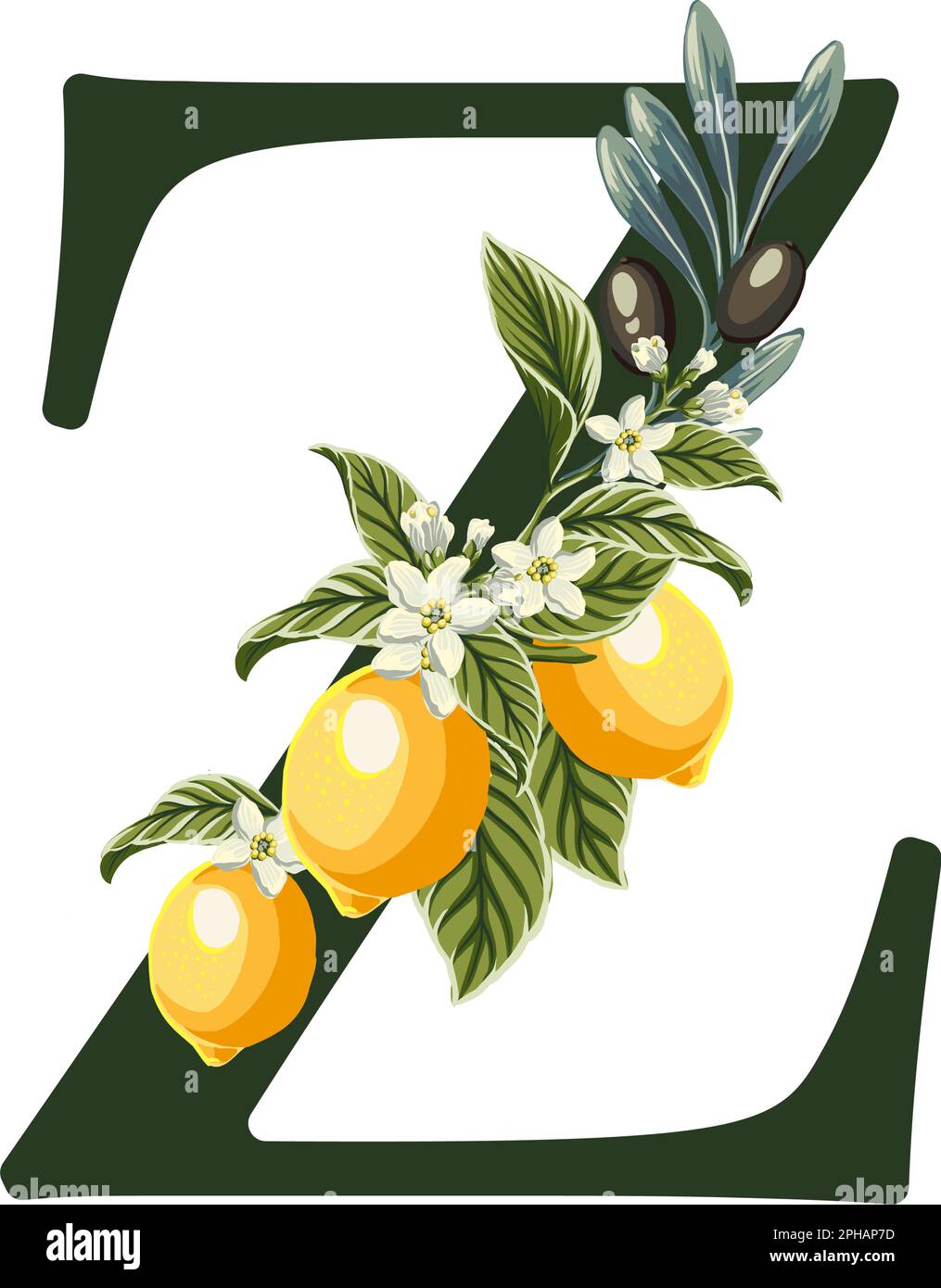 letter Z from Alphabet with lemons and olive branches illustration ...