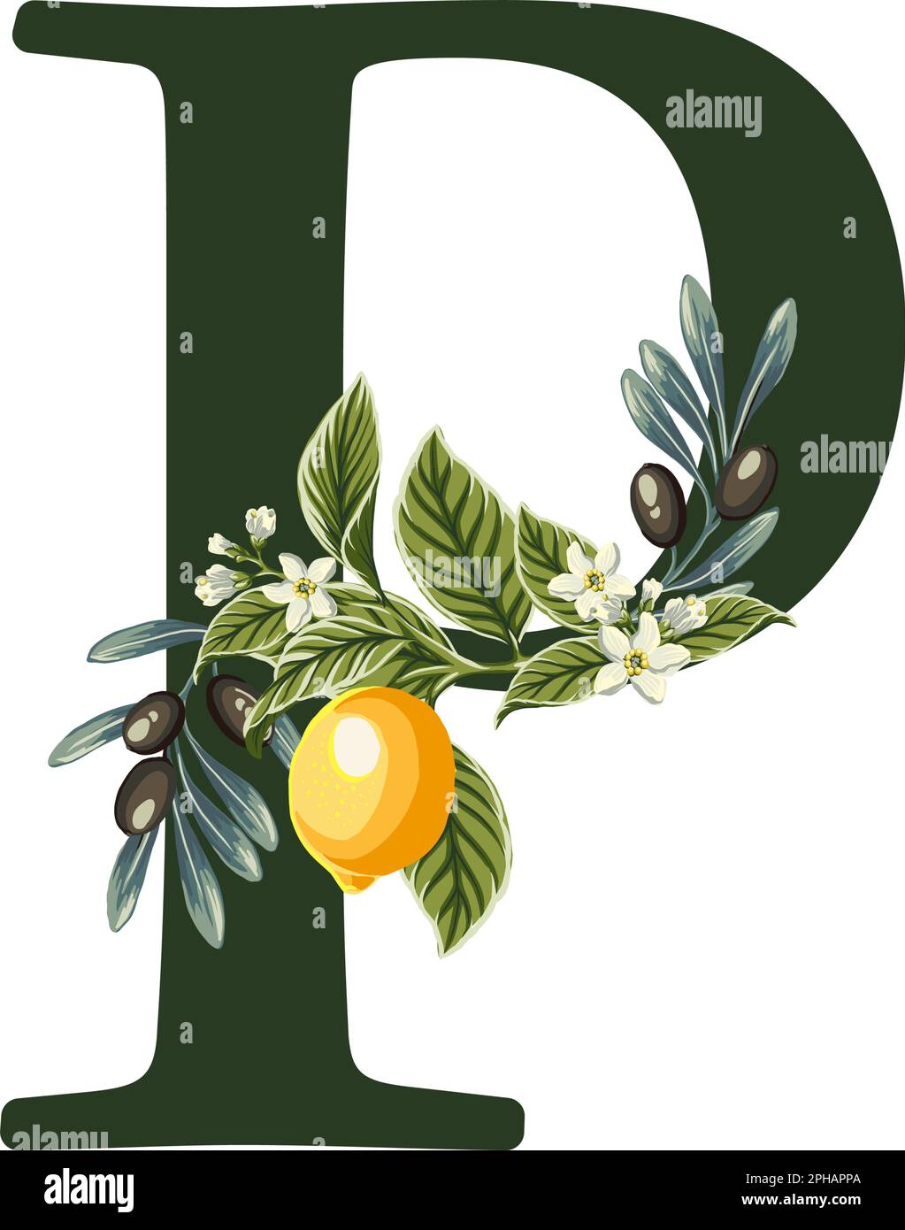 letter P from Alphabet with lemons and olive branches illustration ...