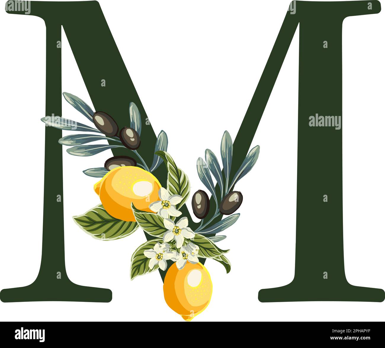 letter M from Alphabet with lemons and olive branches illustration ...