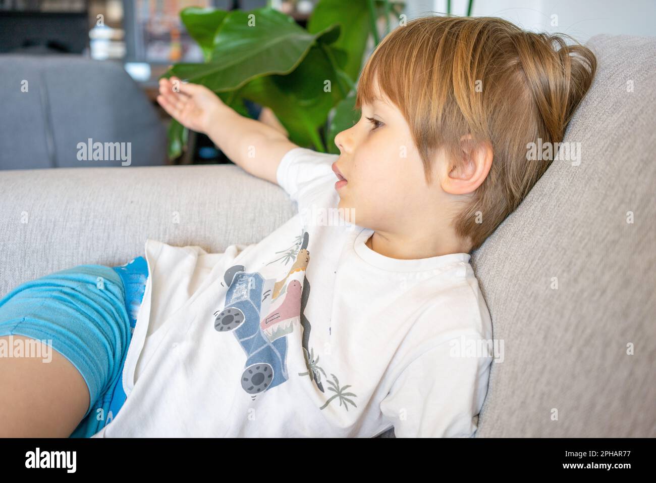 Portrait of cute little boy looking side sitting on sofa Stock Photo ...