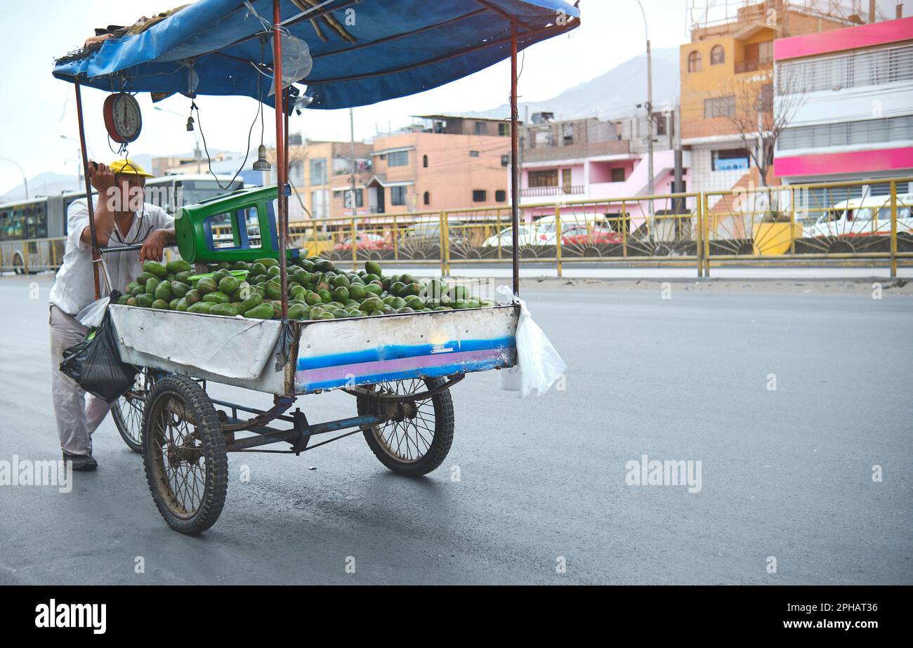 Mobile street vendor selling avocado, aguacate, palta. A Avocado cart ...