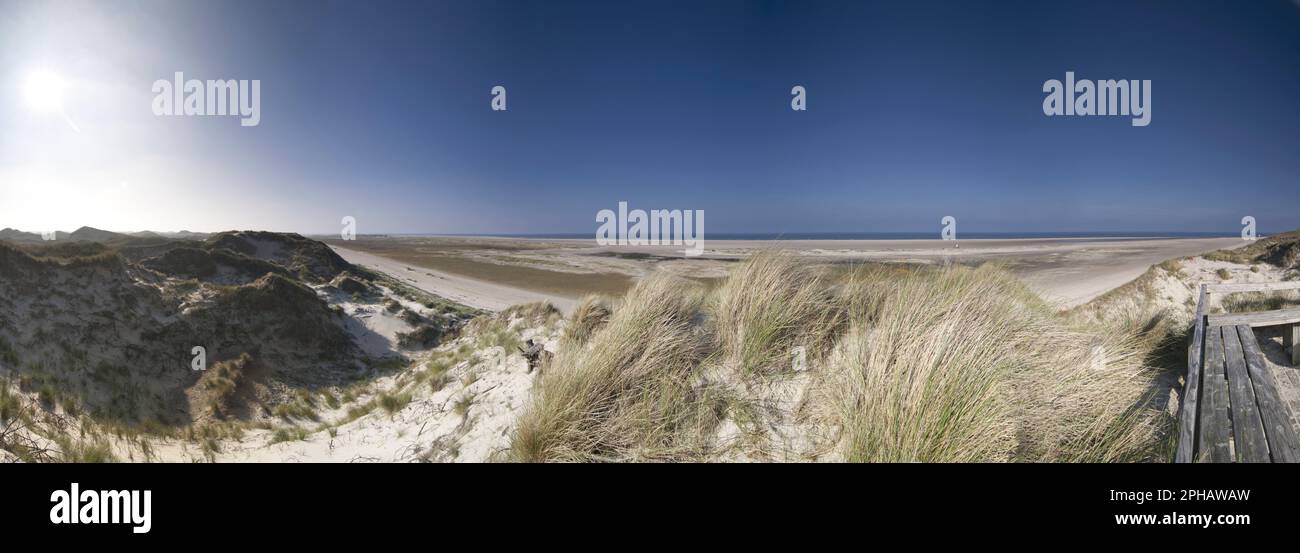 Strand, Dünen von Amrum, Panorama, Amrum beach and dunes Stock Photo ...