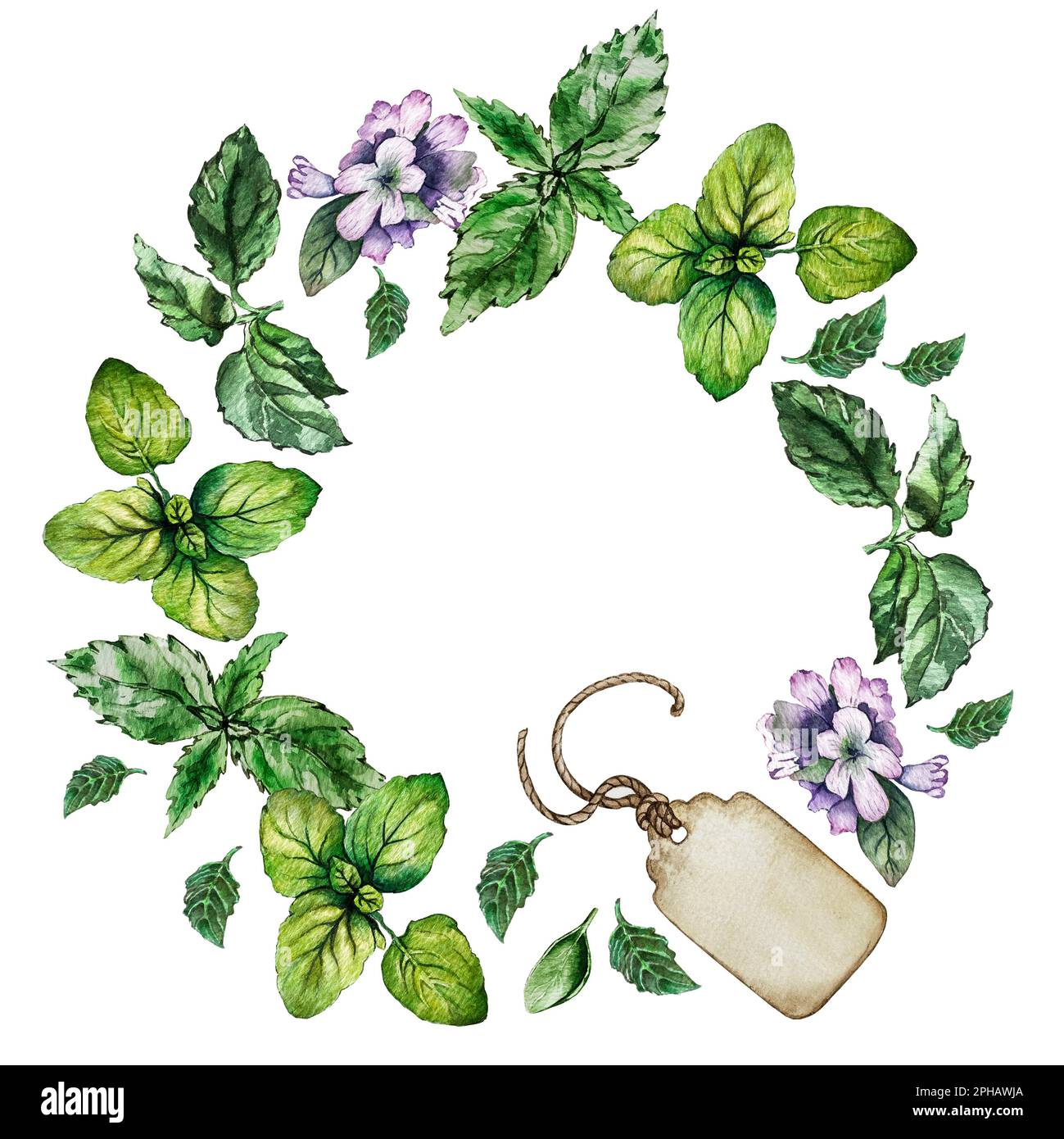 compositions of oregano, basil and tag Stock Photo - Alamy