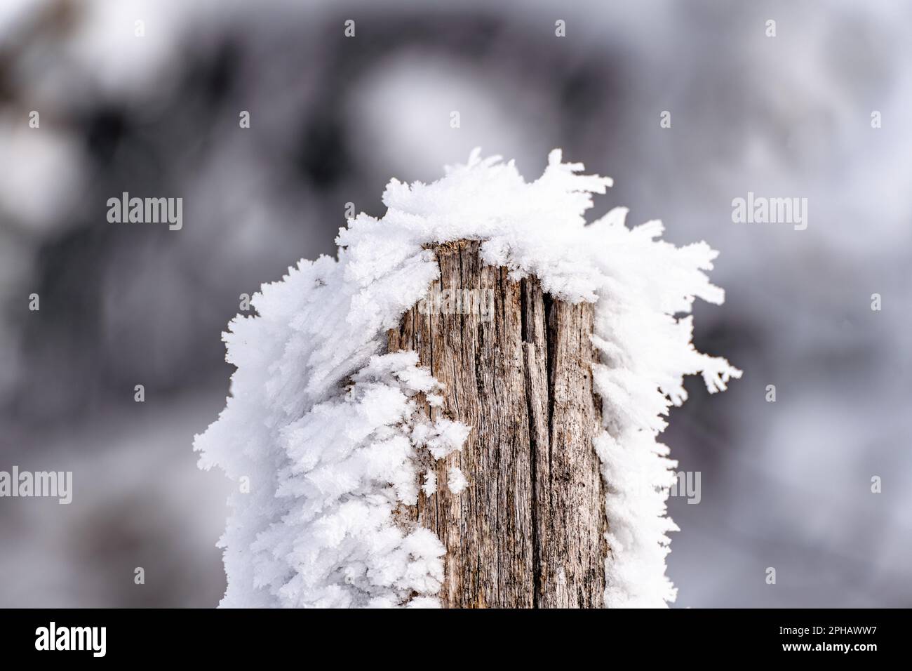 A close-up shot of a snow-covered log resting on a snowy surface, with ...