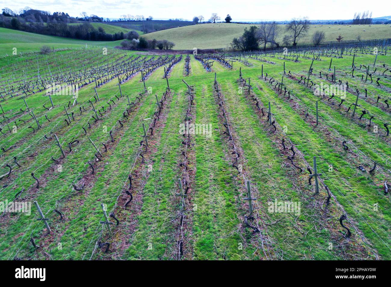 The 10 best england wineries hi-res stock photography and images - Alamy