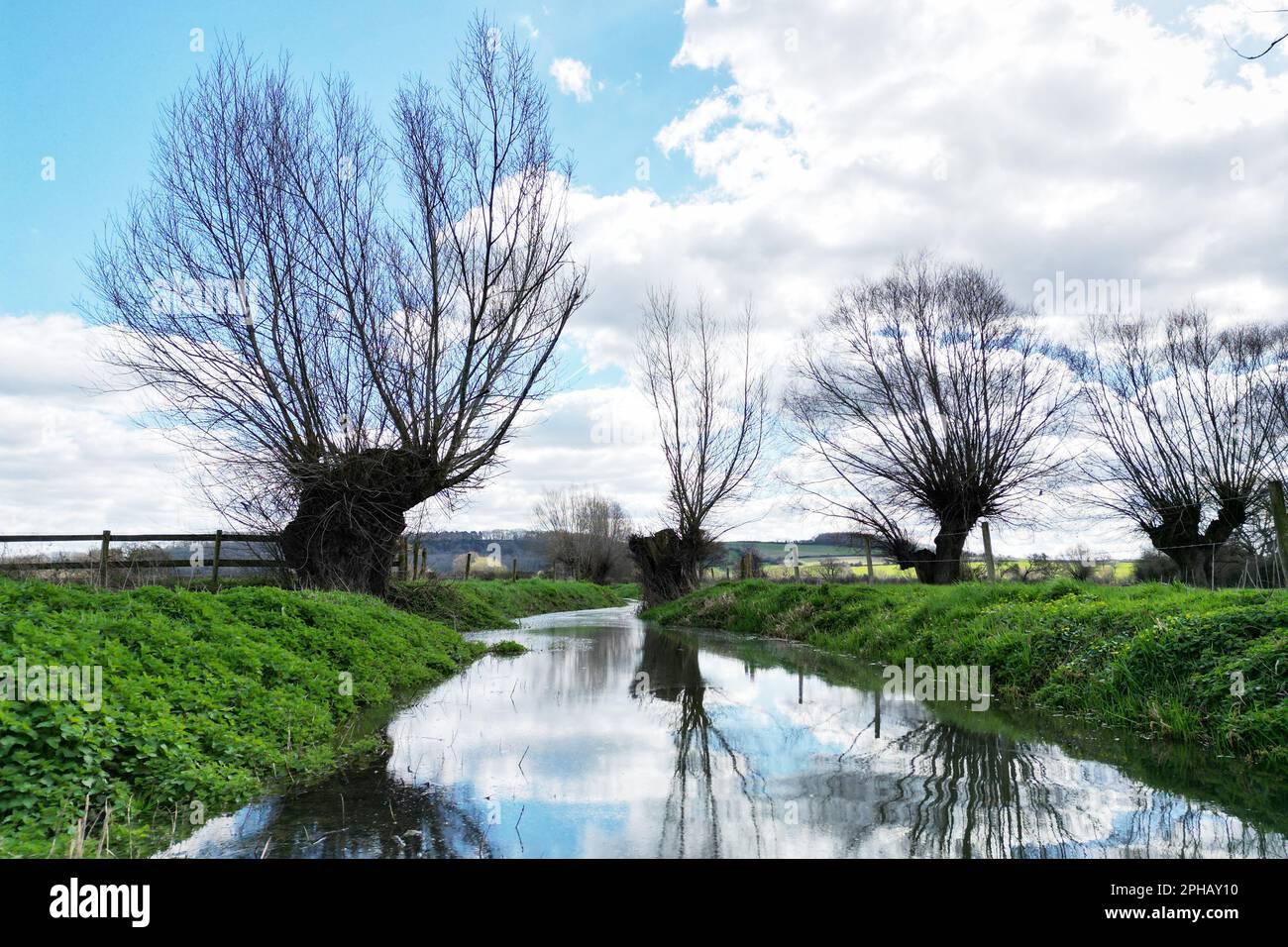 Gloucestersire stream with weeping willow trees Picture by Antony ...