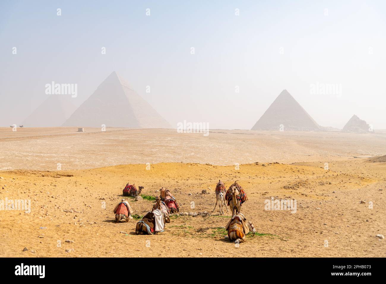 A view of the Pyramids of Giza complex in Egypt Stock Photo - Alamy