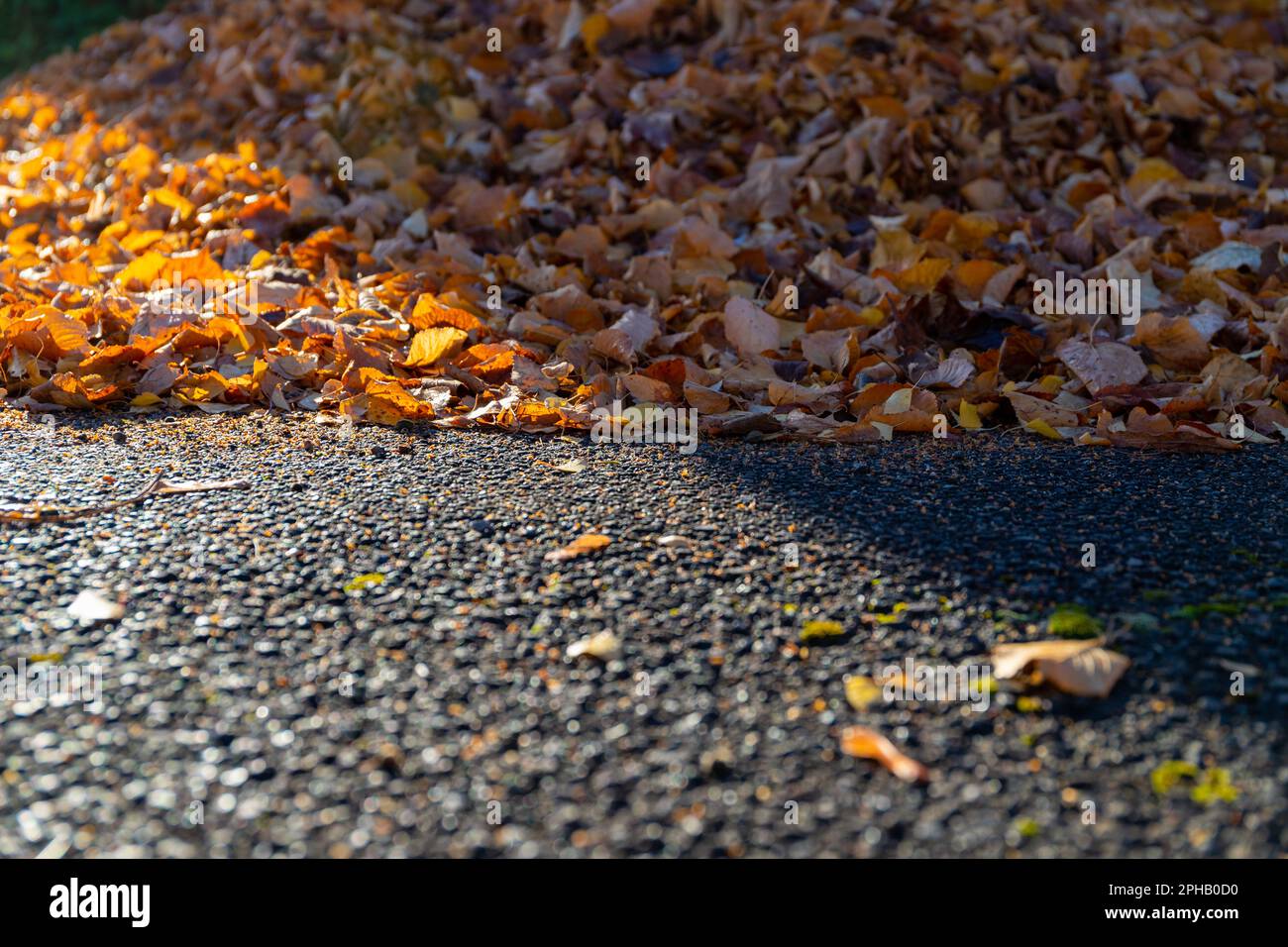 Autumn leaves pile on a street. High quality photo Stock Photo - Alamy