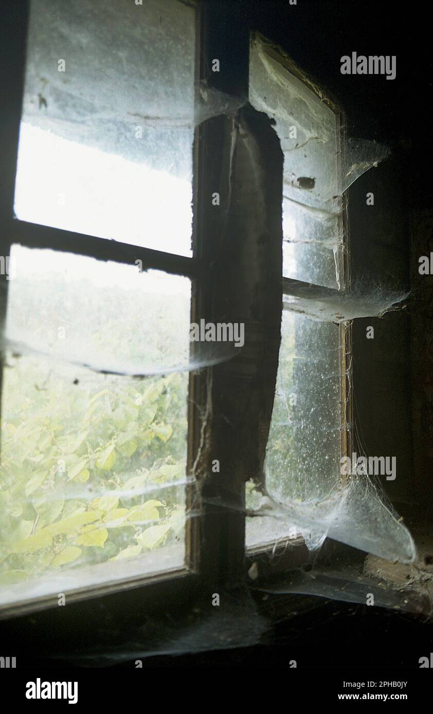Old spiderwebs by a window in an abandoned house Stock Photo - Alamy