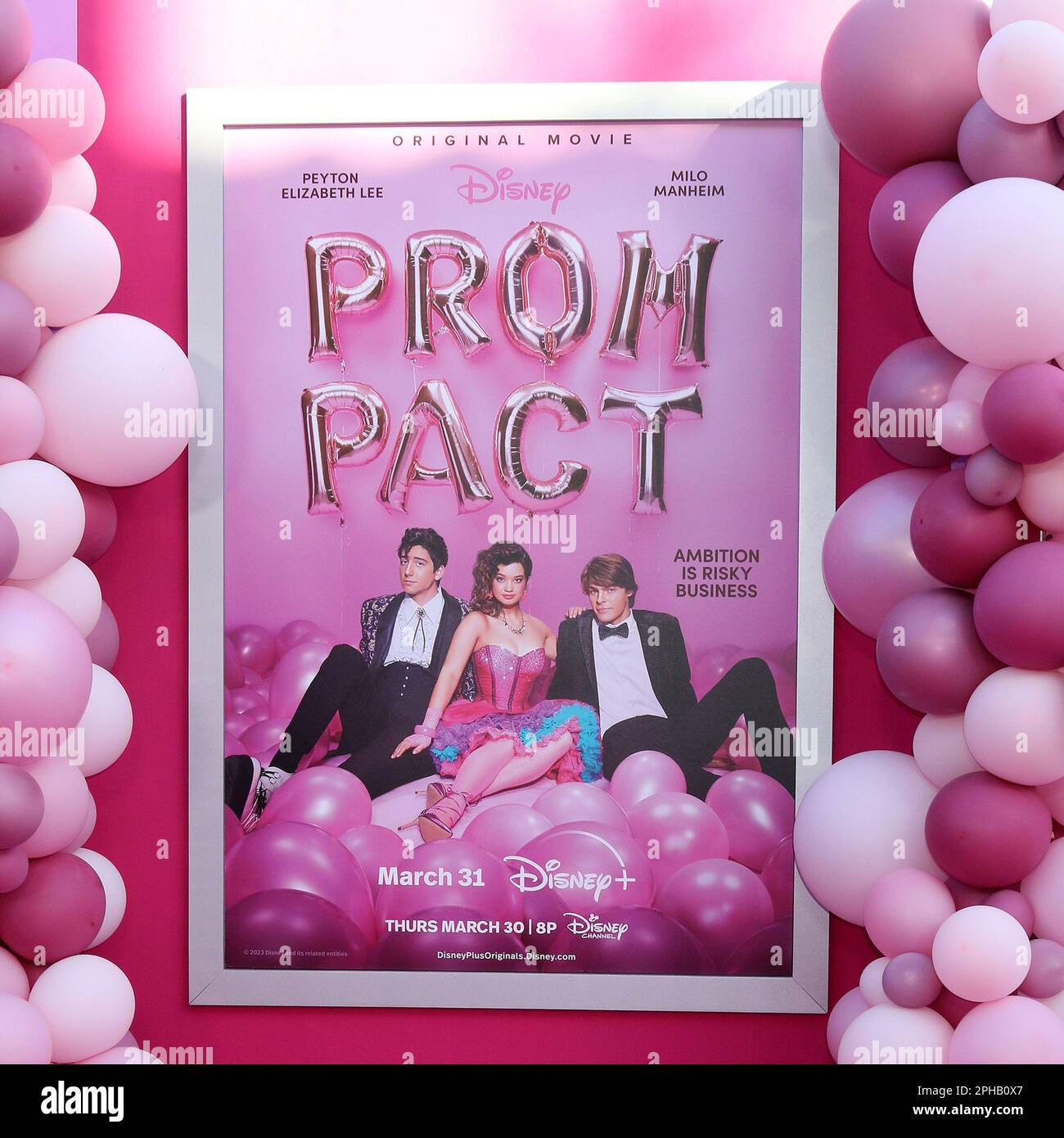 General Atmosphere at arrivals for PROM PACT Premiere, Wilshire Ebell ...