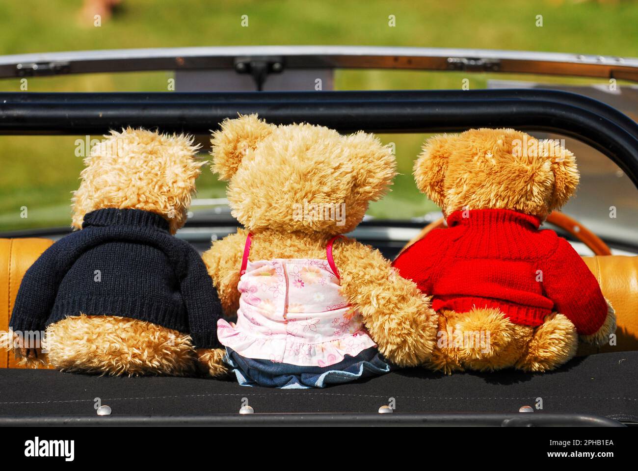 Teddy display hi-res stock photography and images - Alamy