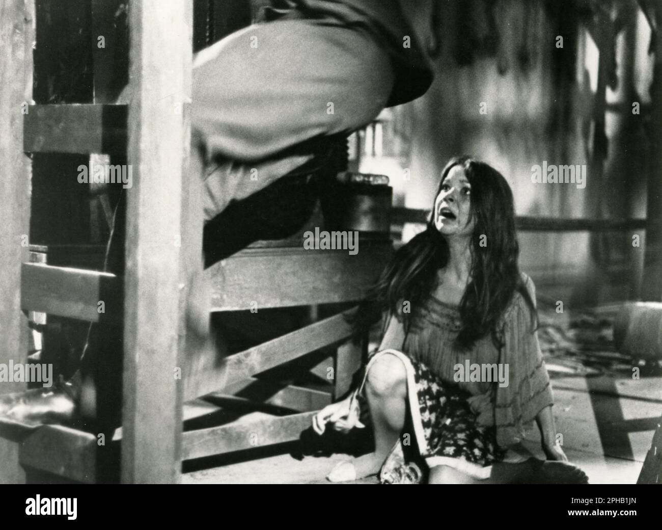 Elizabeth Berridge Funhouse