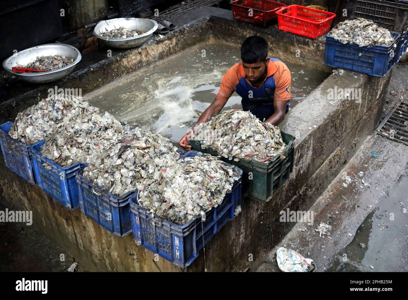 March 27, 2023, Dhaka, Dhaka, Bangladesh: Workers are processing fish ...