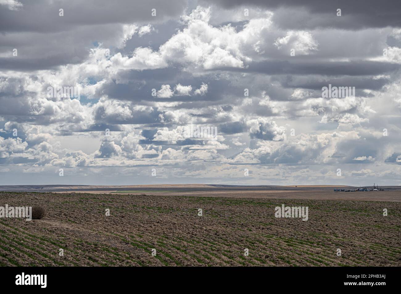 Agricultural Inland Pacific Northwest Arid Country in Spring, WA Stock ...