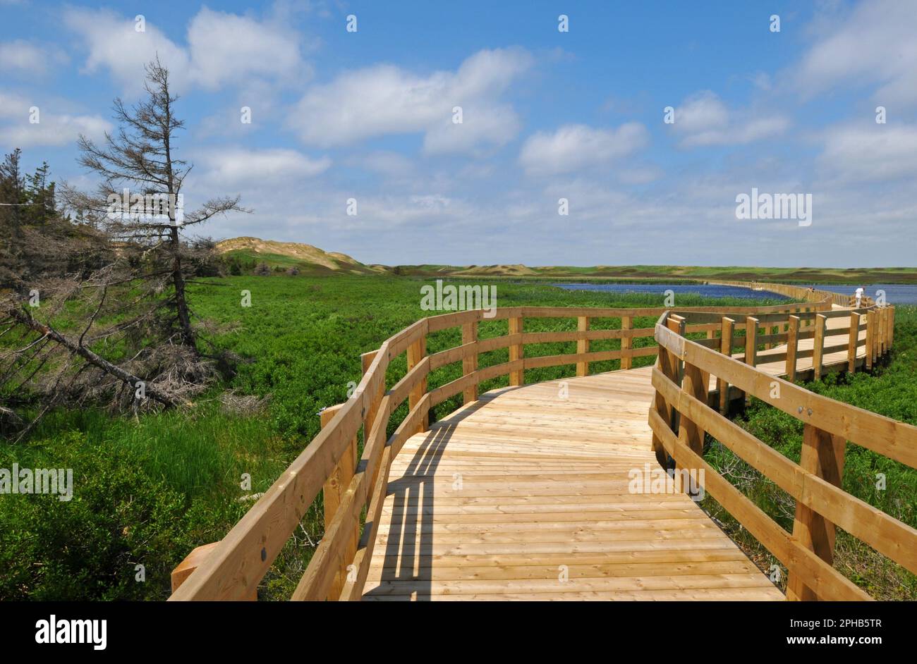 A wooden boardwalk winds through a wetland at the Greenwich portion of Prince Edward Island ...