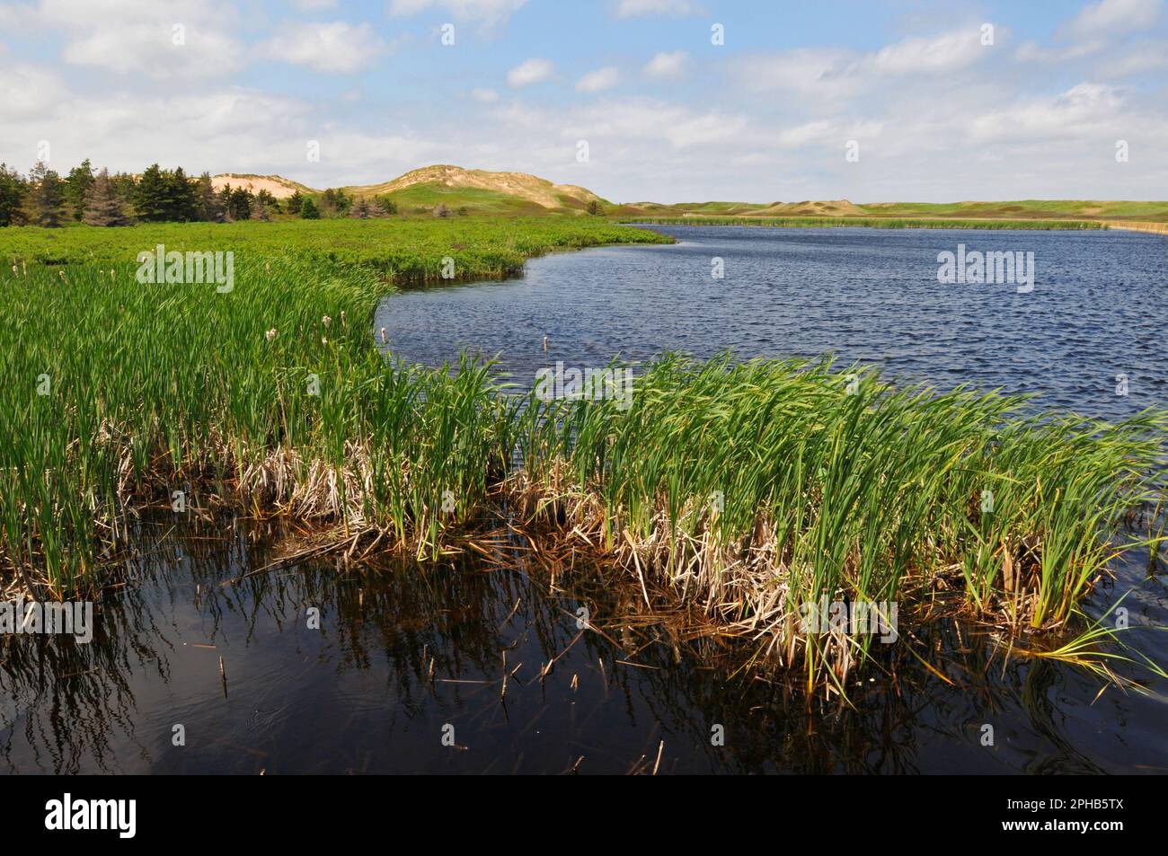 Pei national park bowley pond hi-res stock photography and images - Alamy
