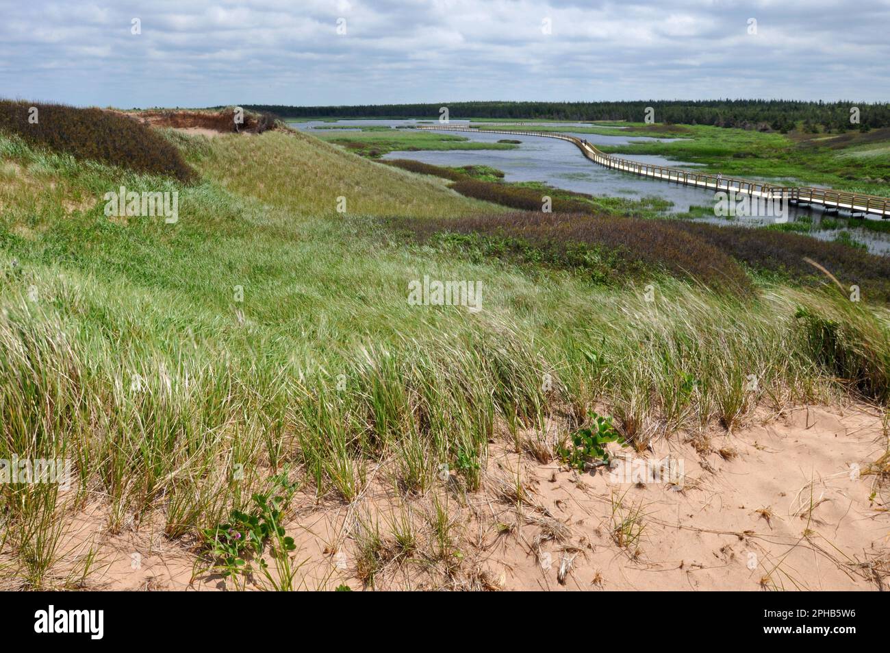 Grass-covered sand dunes overlook a floating boardwalk crossing Bowley ...