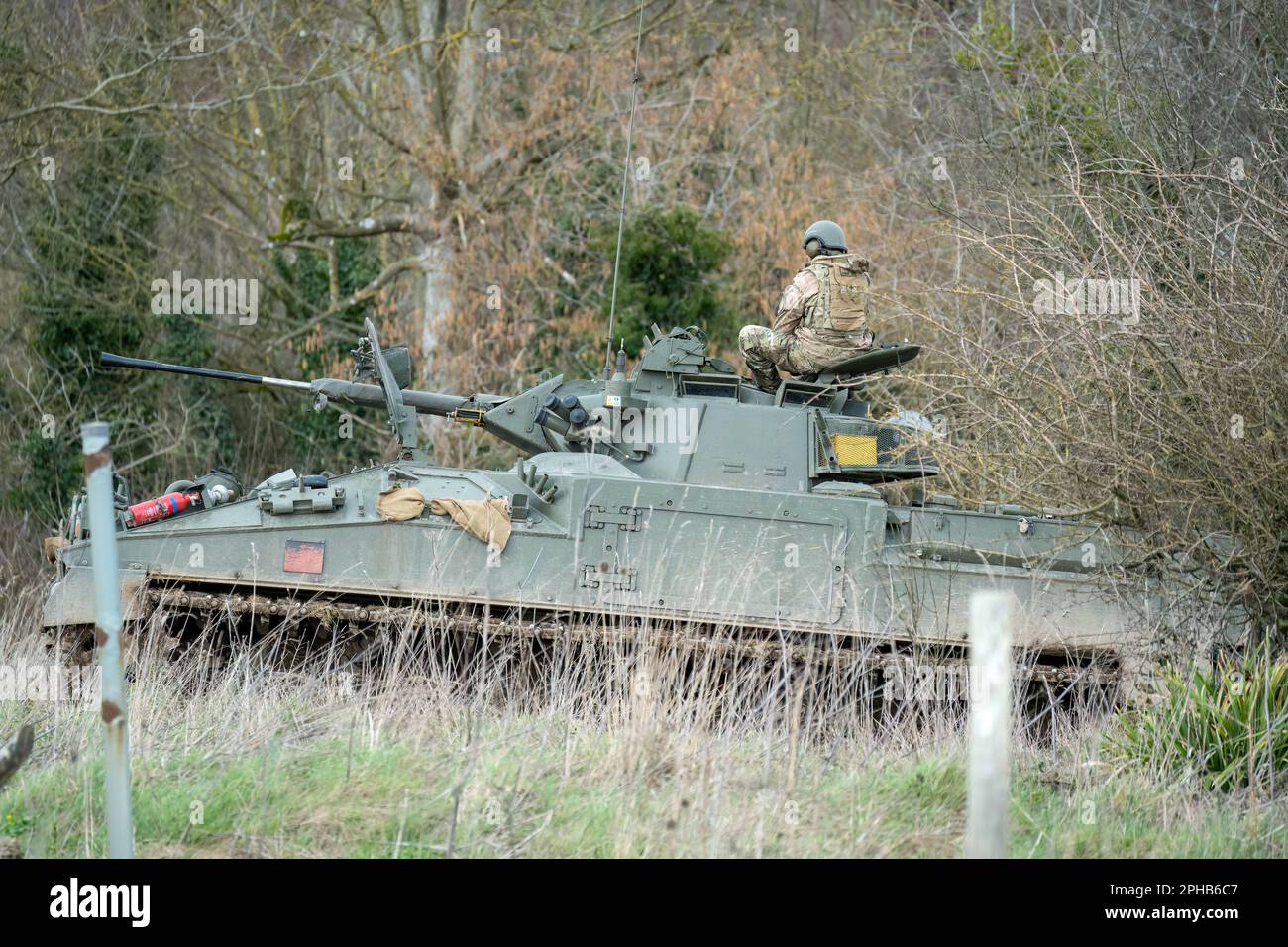 an army tank with a gun in woodland Stock Photo - Alamy
