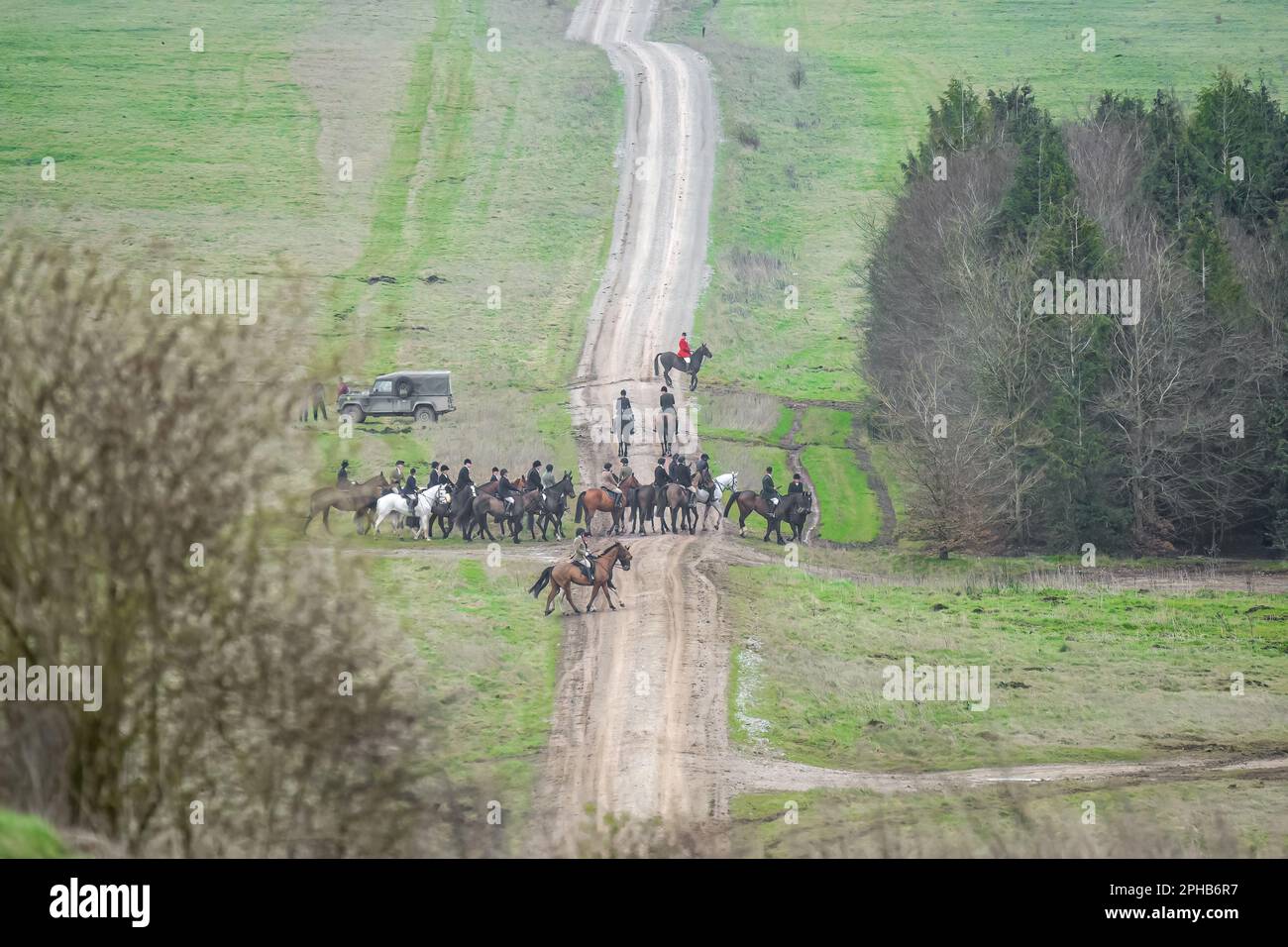 horse riders with a pack of foxhounds engage in the hunt for a fox ...