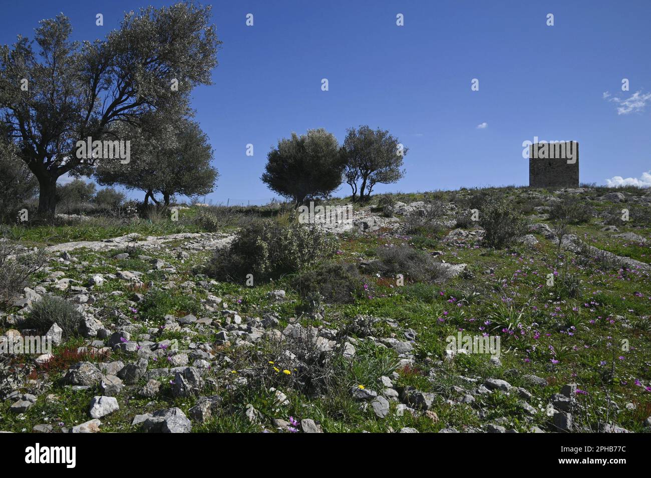 Frankish flag hi-res stock photography and images - Alamy