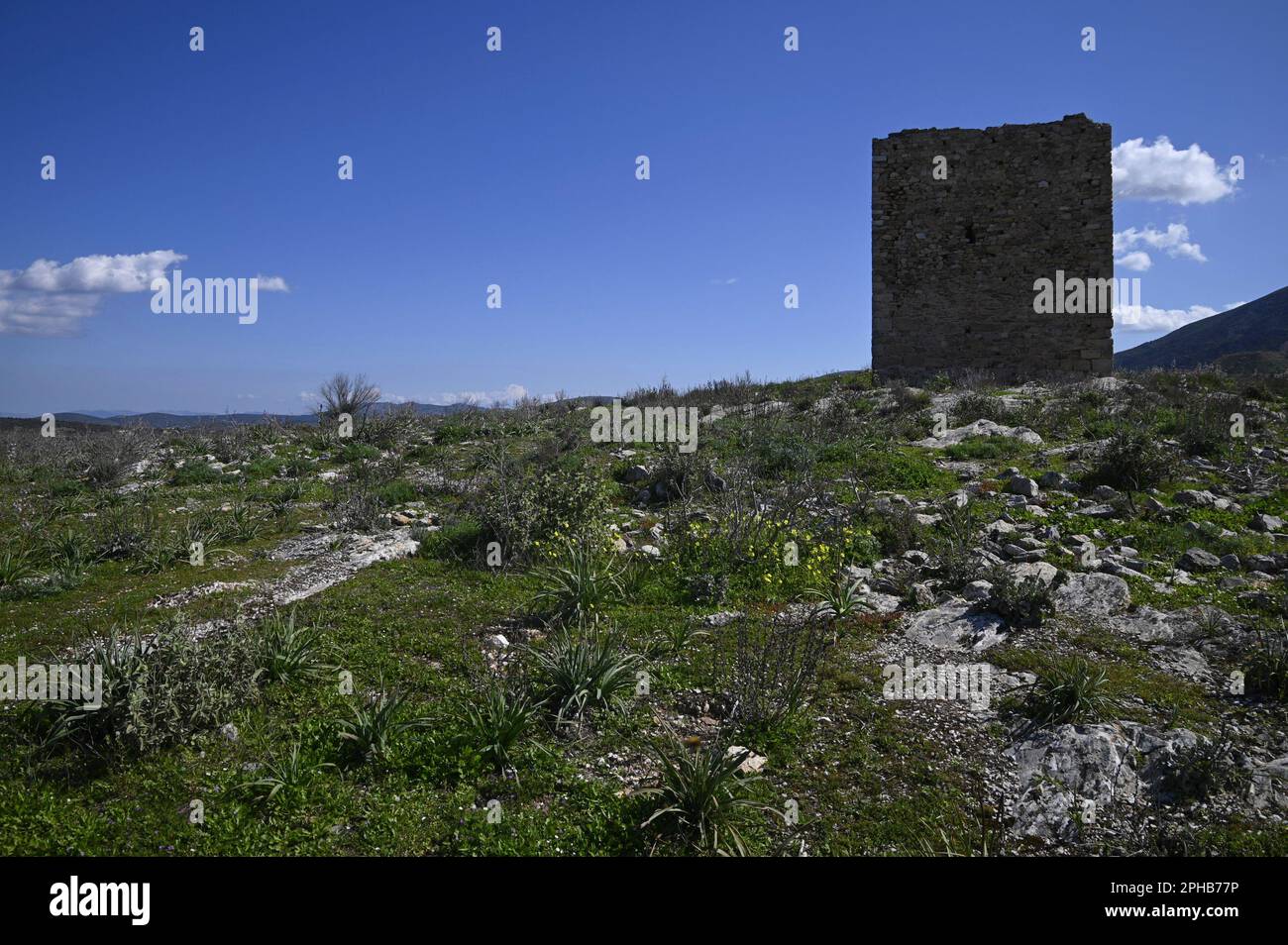 Frankish flag hi-res stock photography and images - Alamy