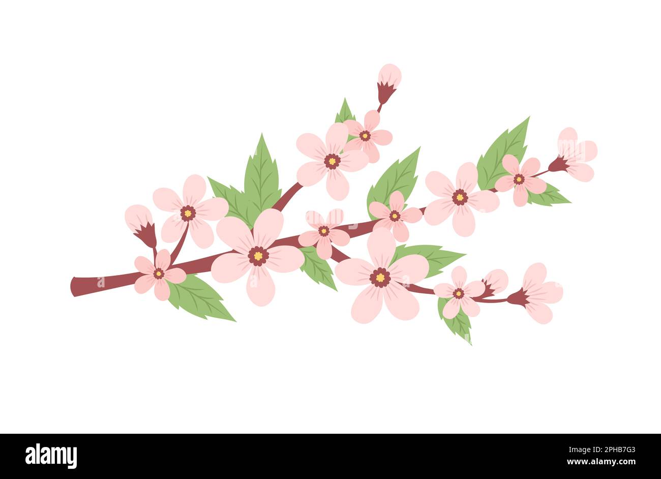 Cherry blossom branch. Cute cpring vector illustration isolated on ...