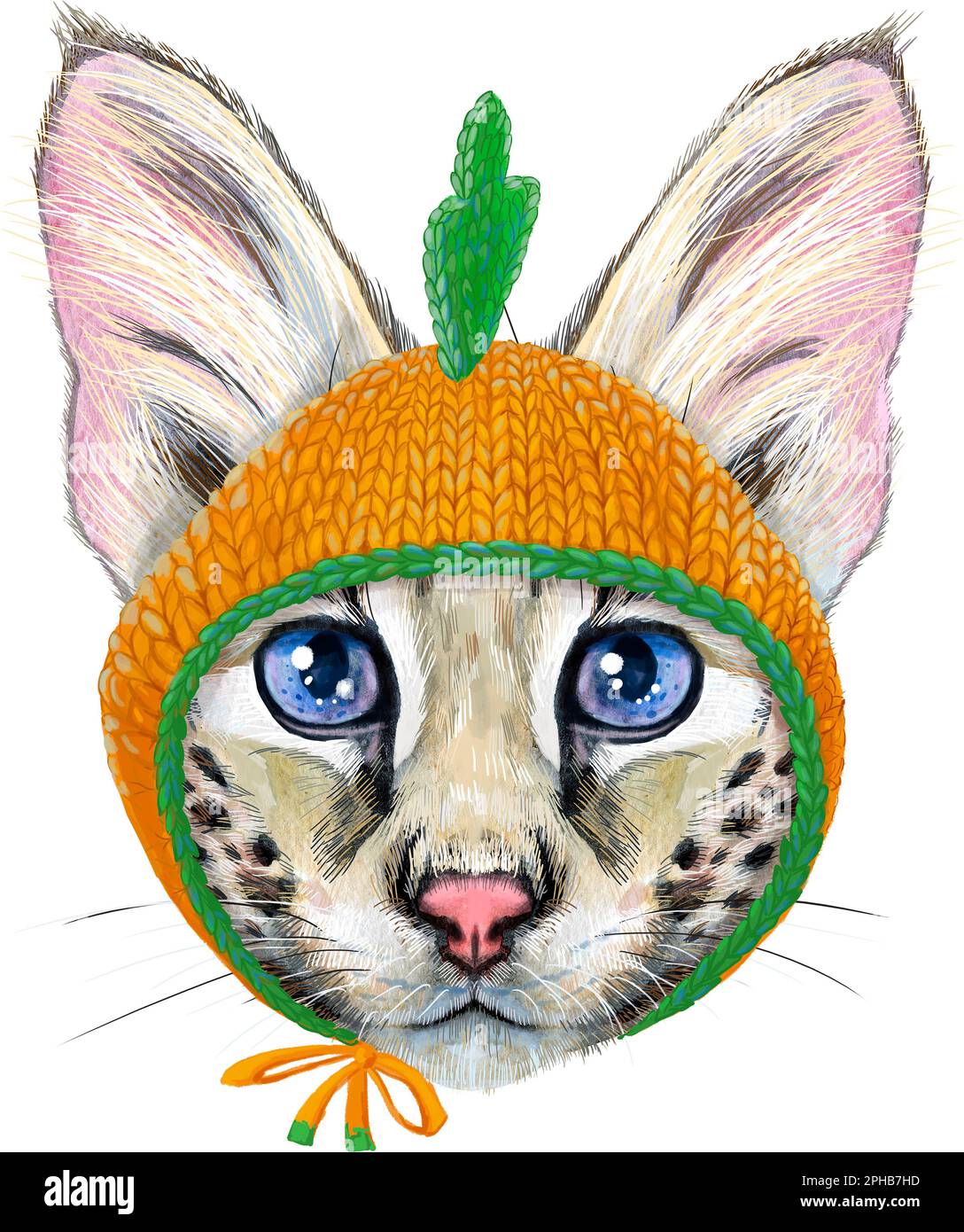 Cute cat in a carrot hat. Cat for t-shirt graphics. Watercolor Savannah ...