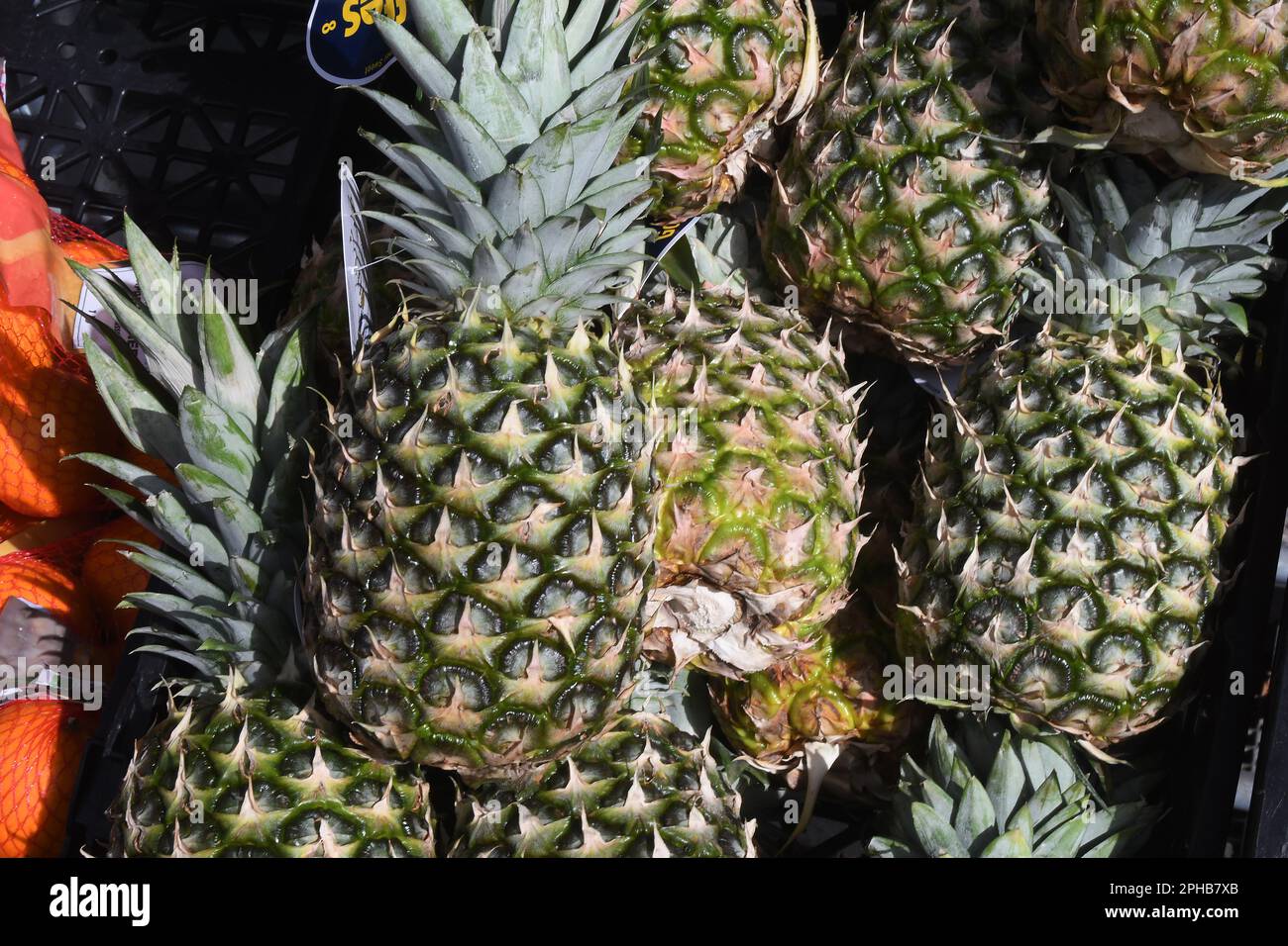 Kastrup/Copenhagen /Denmark/27 March 2023/Fyffes gold pineapple fruit ...