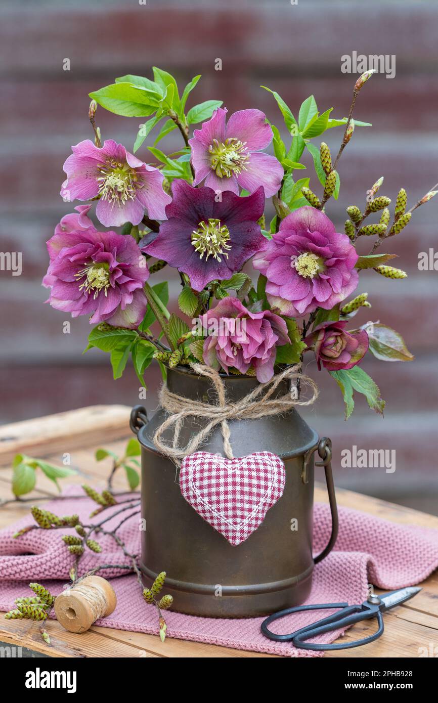 Lenten roses hi-res stock photography and images - Alamy