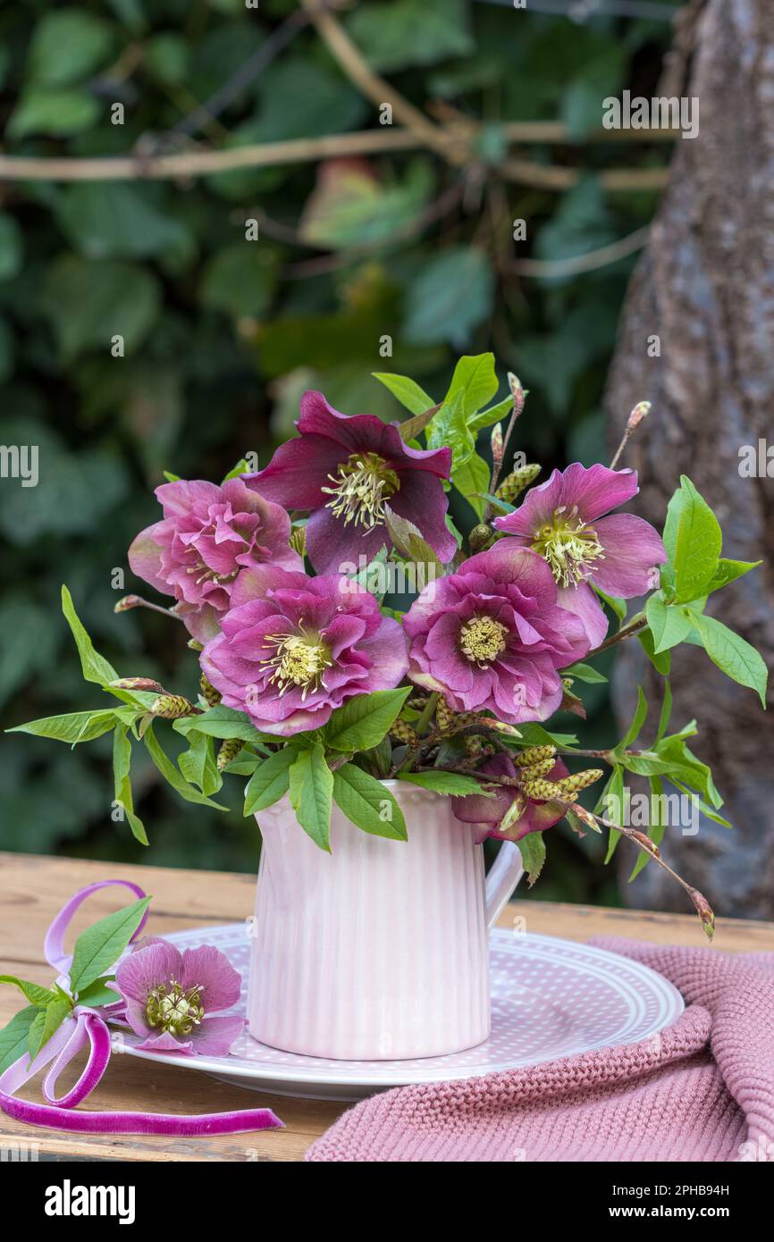 Lenten roses hi-res stock photography and images - Alamy