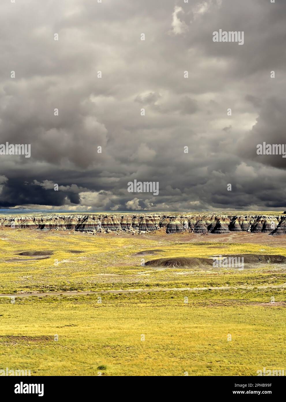 Scenic landscape of the ancient petrified forest in Arizona Stock Photo ...