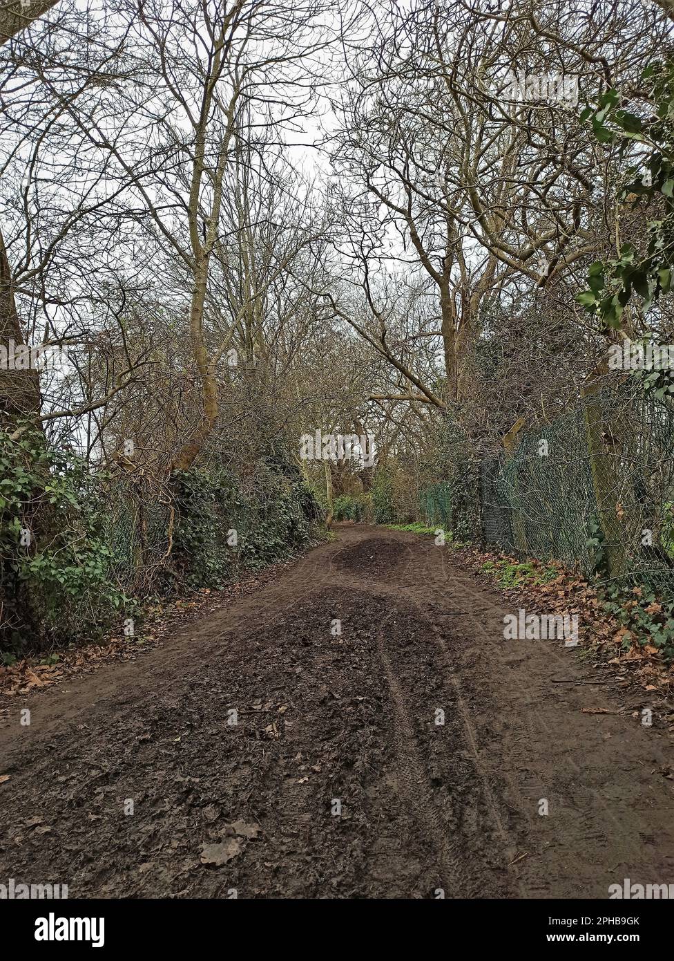 A footpath in Forty Hill. Enfield, London, UK. Trees, Soil, Leaves and ...