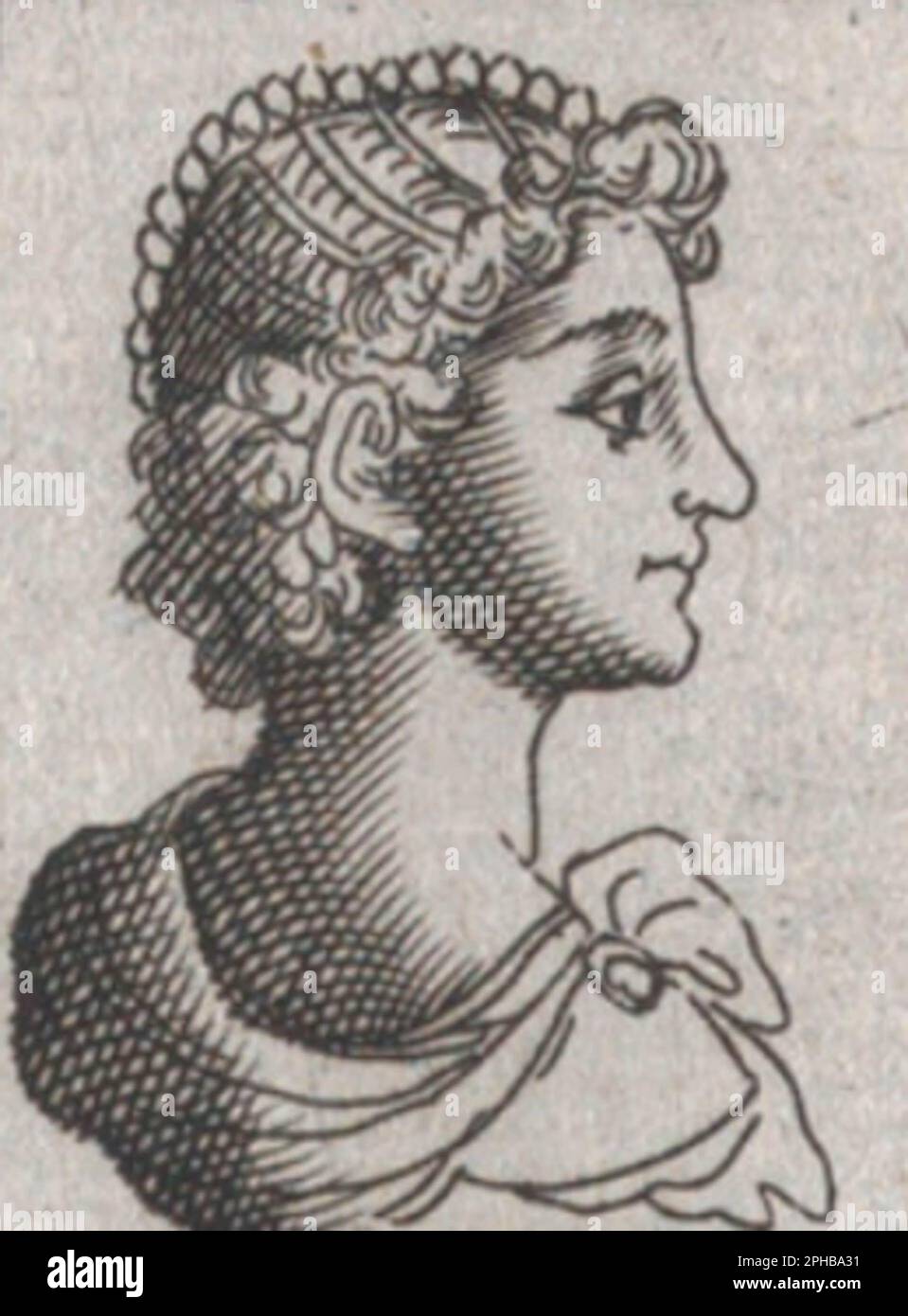 Flavia maxima hi-res stock photography and images - Alamy