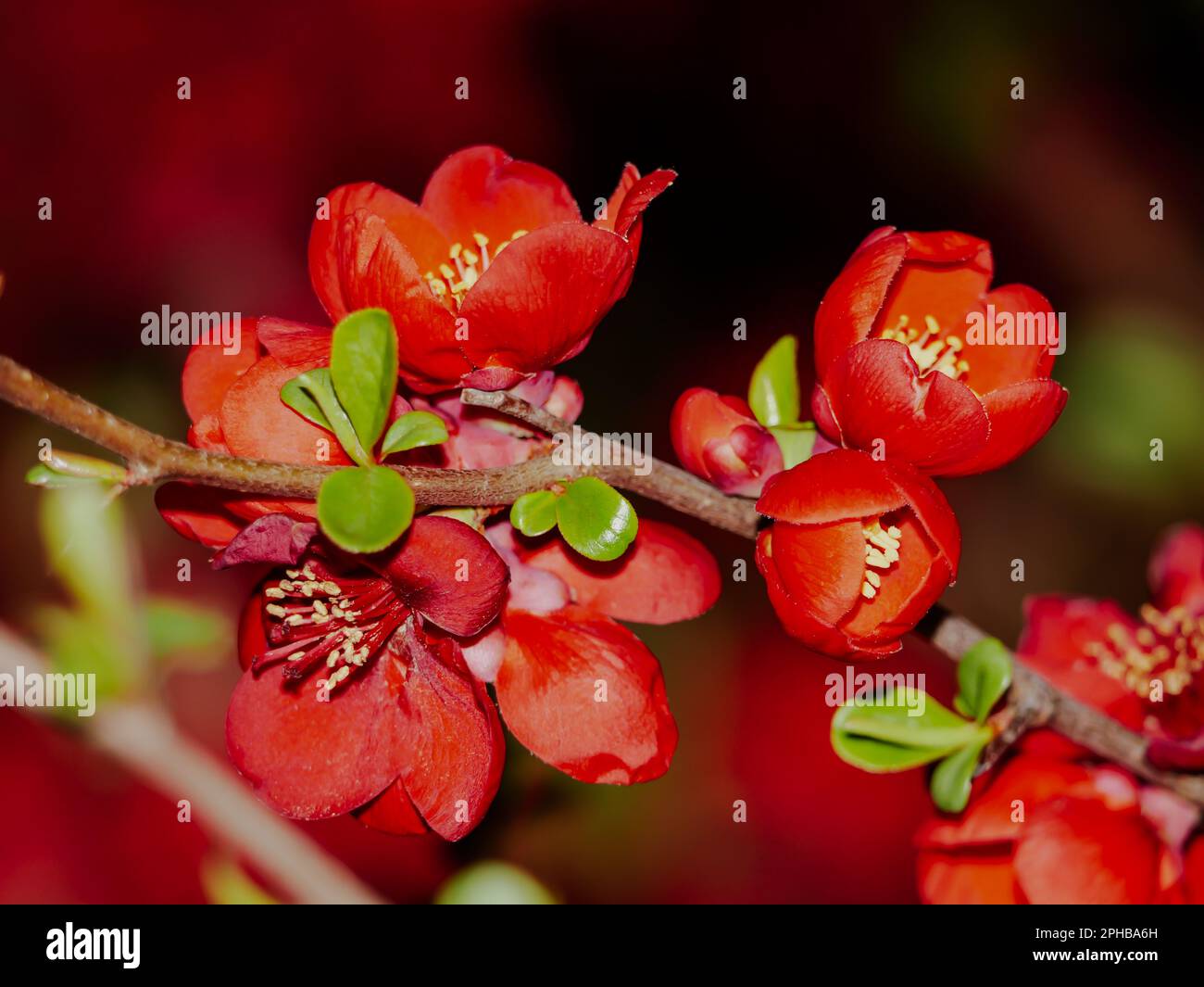 Time brings hi-res stock photography and images - Alamy