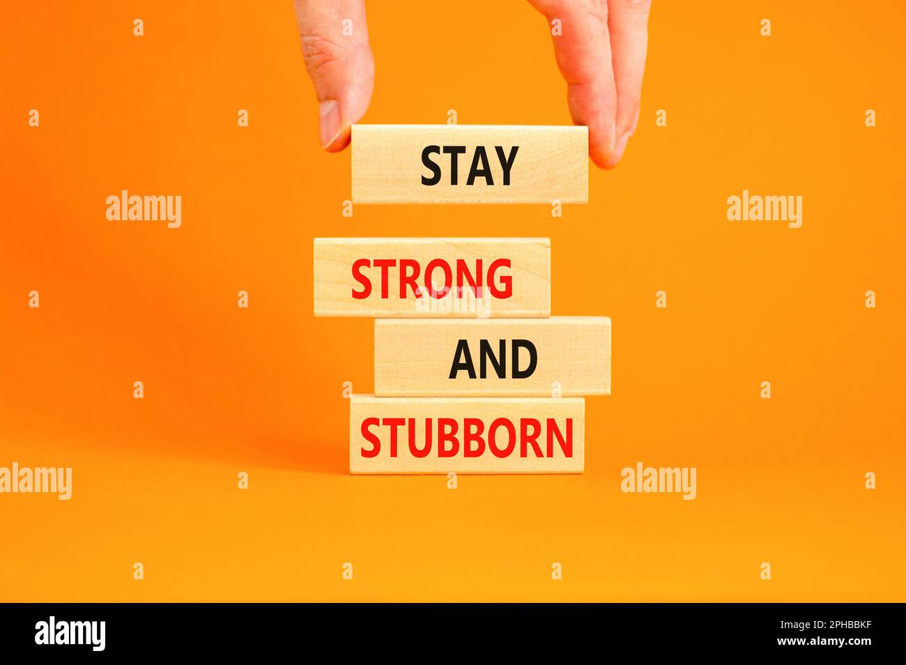 Stay strong and stubborn symbol. Concept words Stay strong and stubborn ...