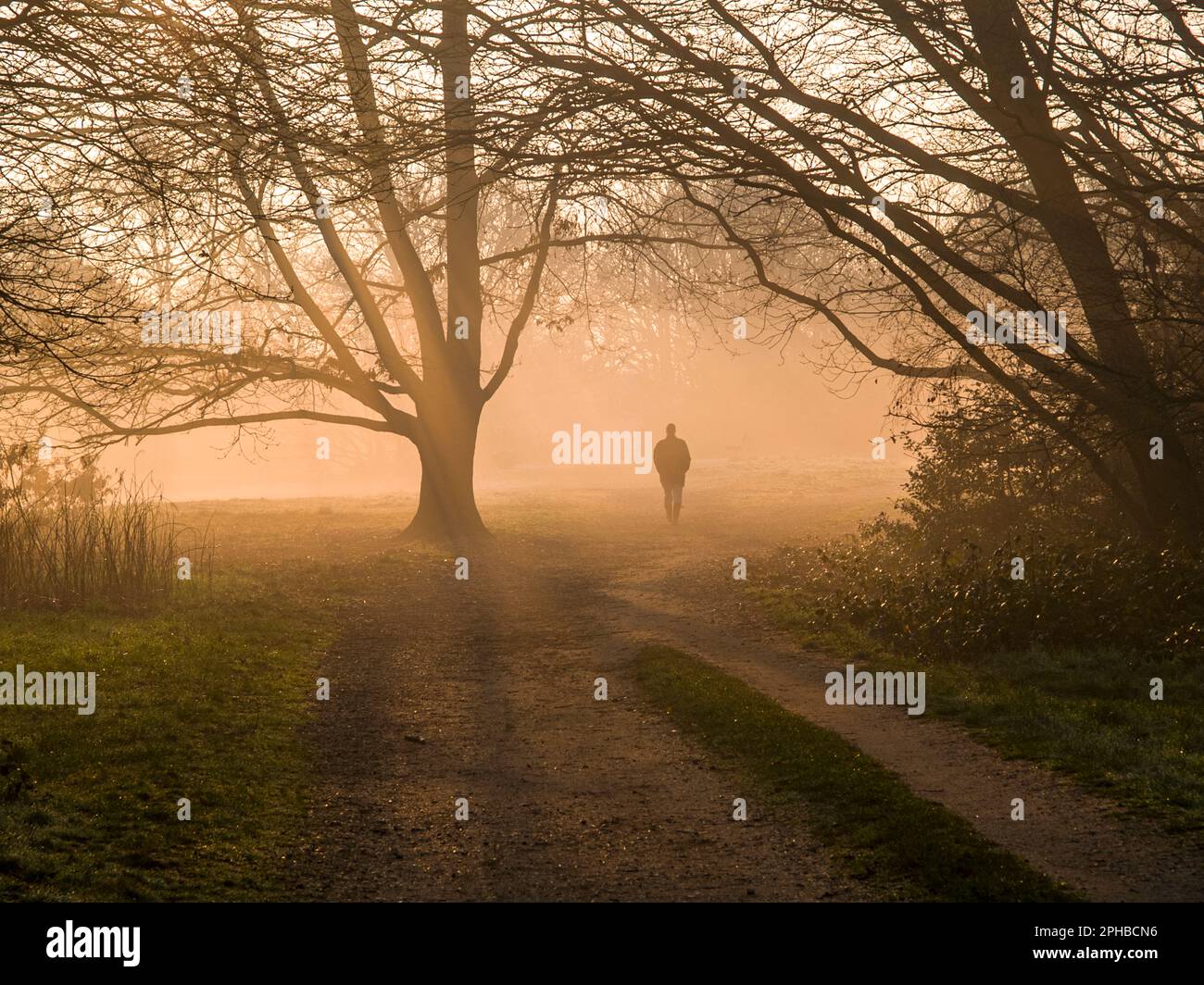 A misty morning on Wimbeldon Common. Sunlight castes shadows through ...