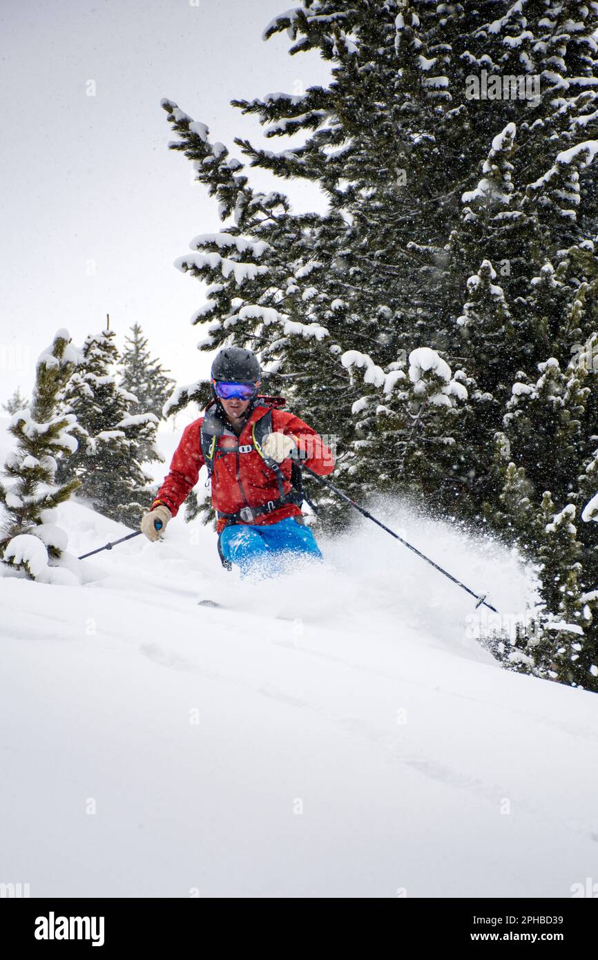 Single skier skiing fresh snow, off piste in Europe Stock Photo - Alamy
