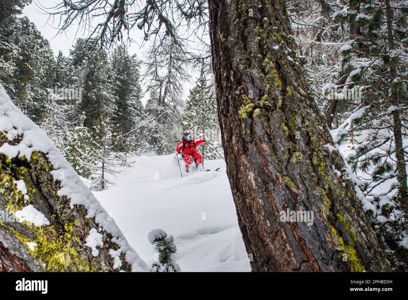 Skier riding through winter hi-res stock photography and images - Alamy
