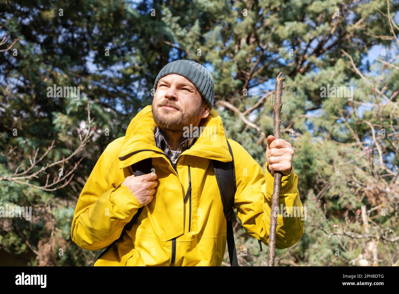 Exploring nature, hiking through forest Stock Photo - Alamy