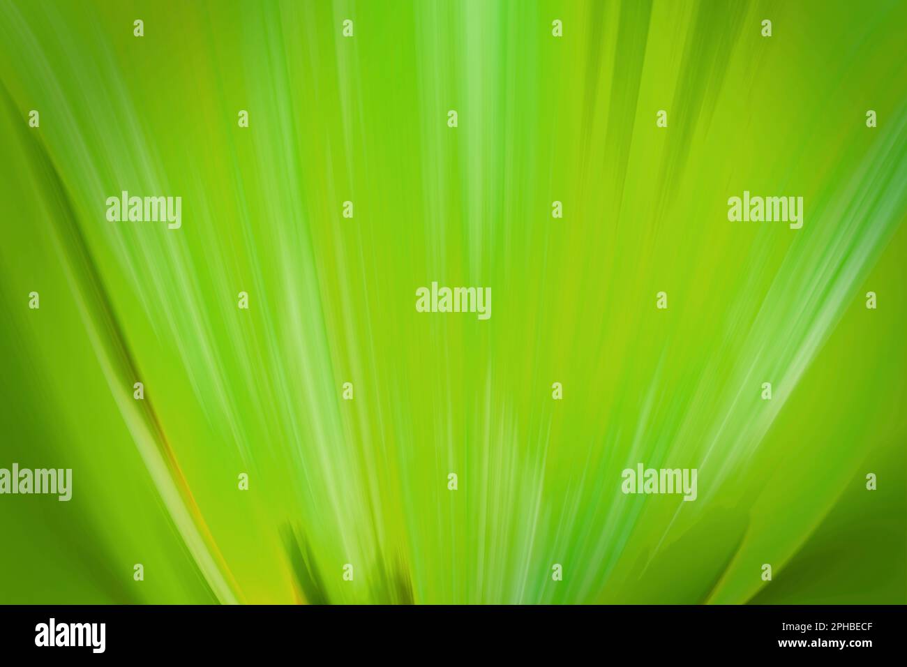 Green shining rays of light textured surface background illustration ...