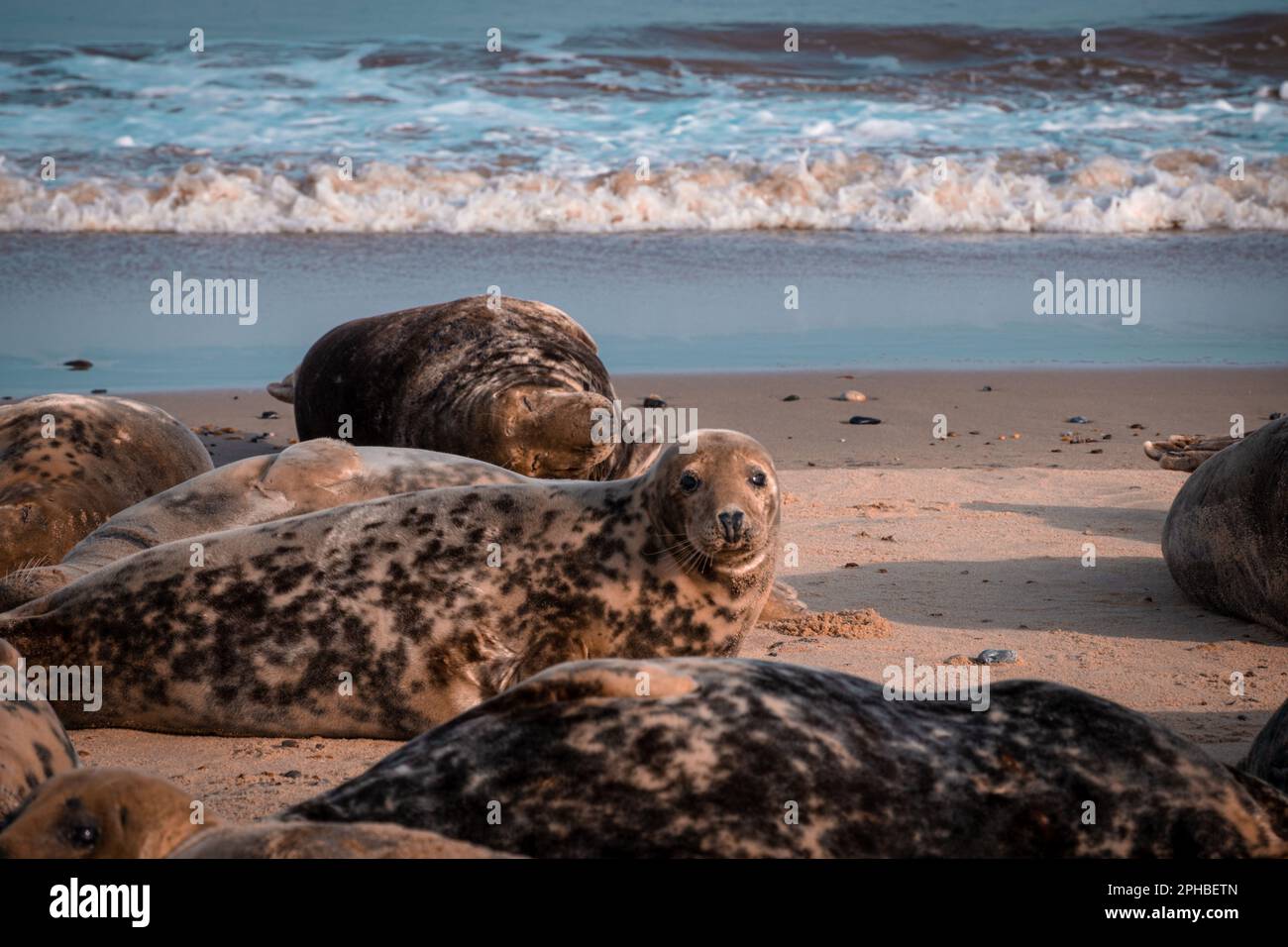 Lapping sun drenched beach hi-res stock photography and images - Alamy