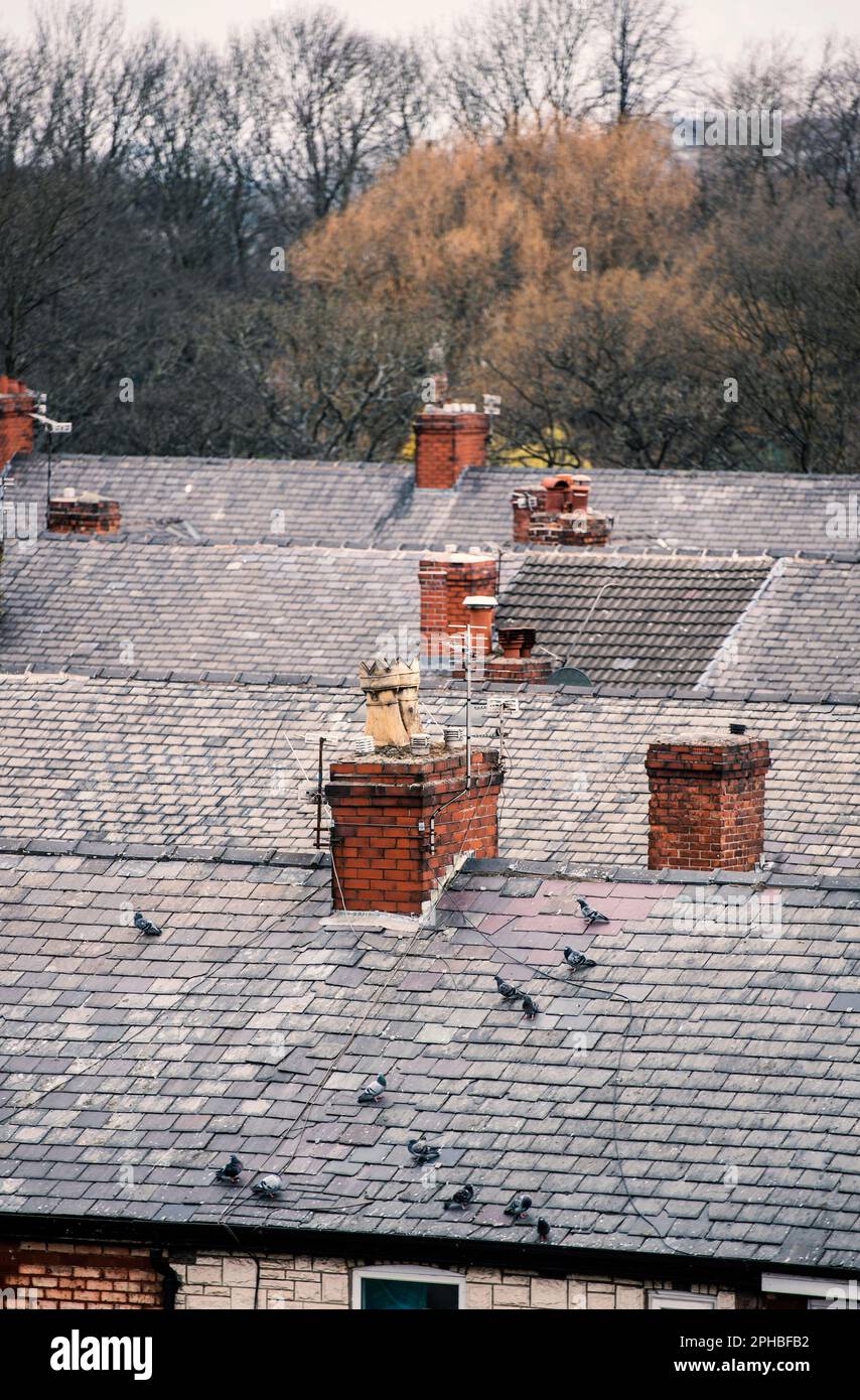 Roofs and chimneys of terraced houses in Stretford, Manchester, England ...