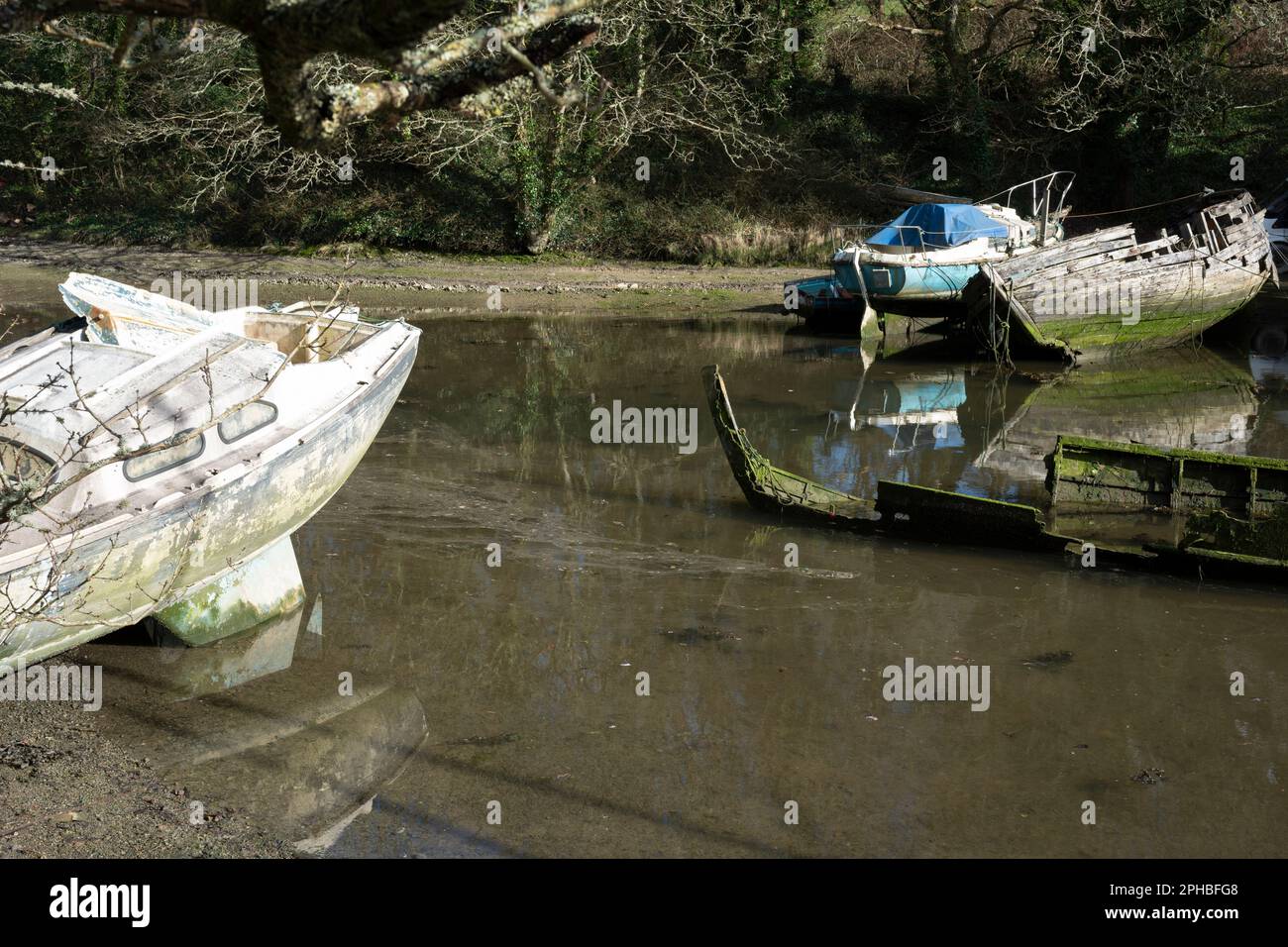 Gillian creek hi-res stock photography and images - Alamy