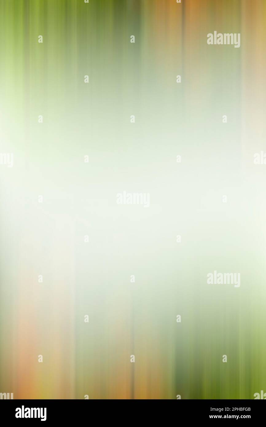 Modern green wallpaper hi-res stock photography and images - Alamy