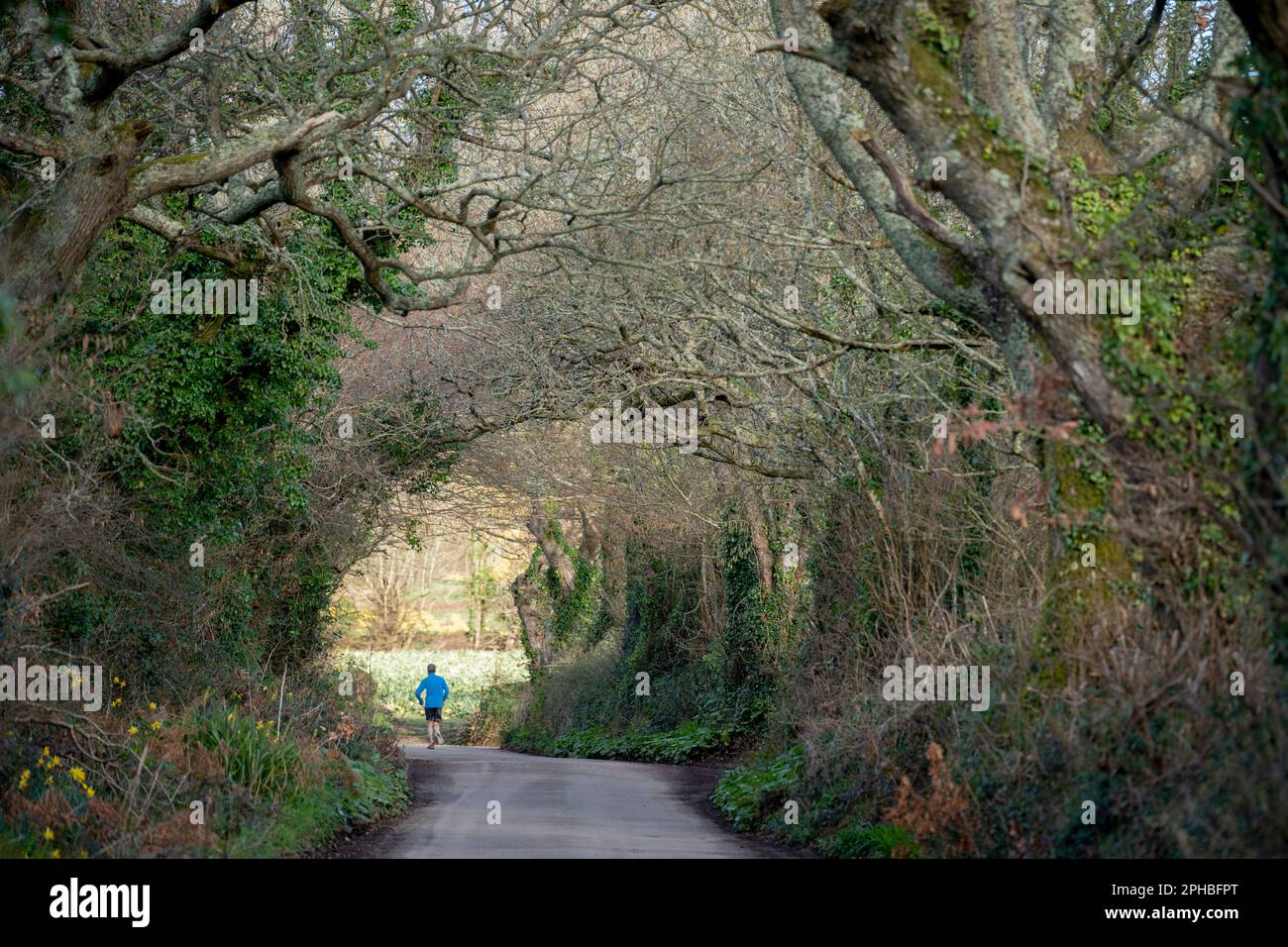 A man runs down a rural lane and into the distance in Mawnan Smith, on ...