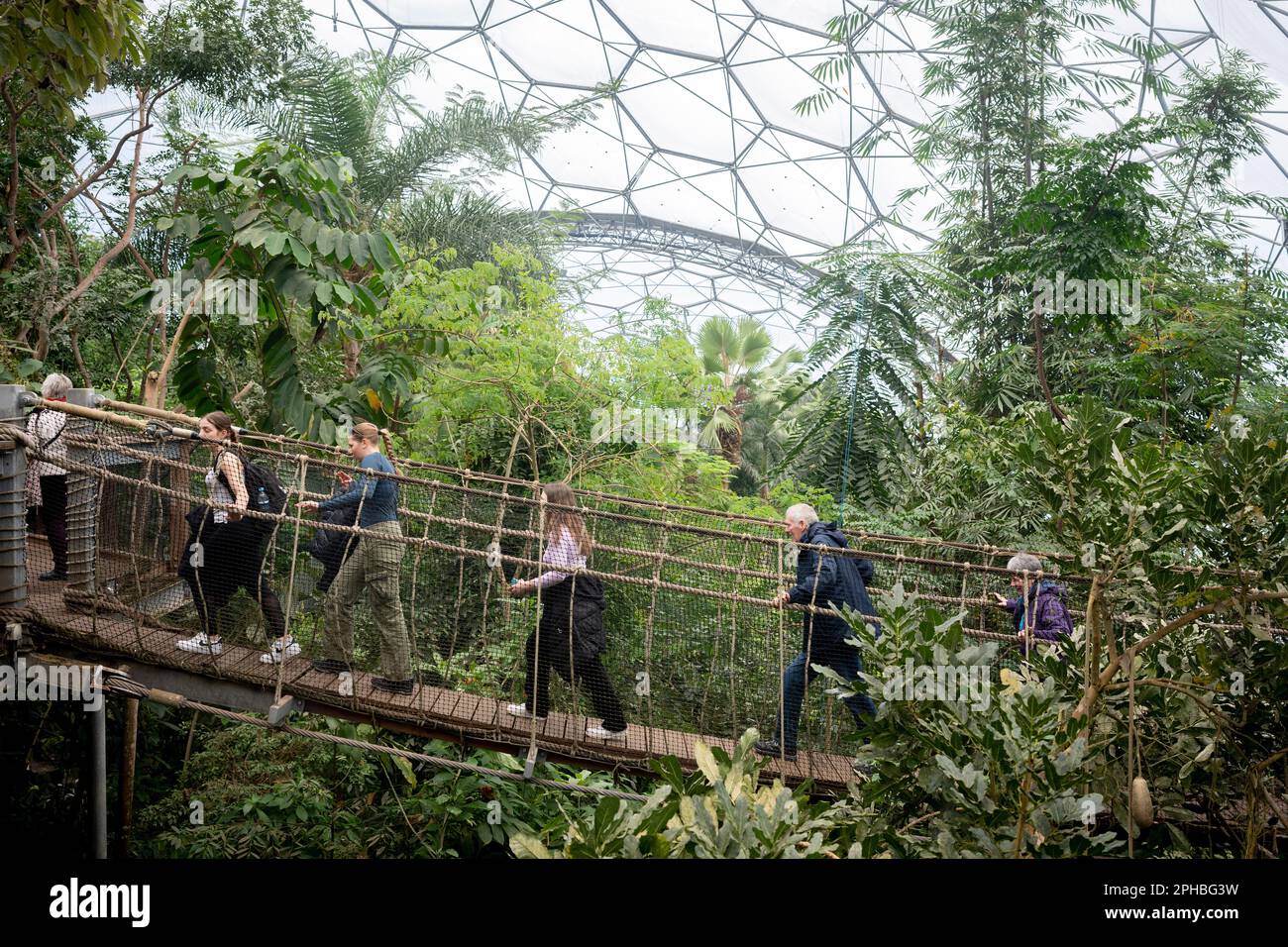 Visitors cross a cable bridge above the Rainforest Biome at the Eden ...