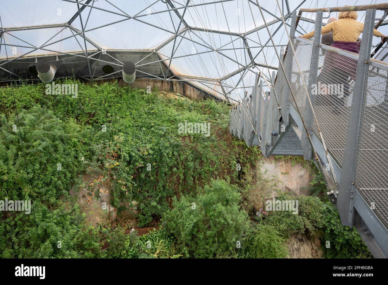 Visitors are seen in the Rainforest Biome at the Eden Project, on 22nd ...