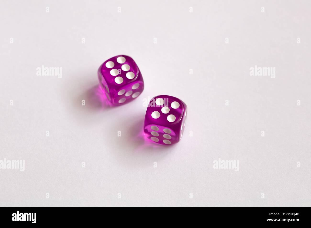 two purple dices on white background for design purpose Stock Photo - Alamy