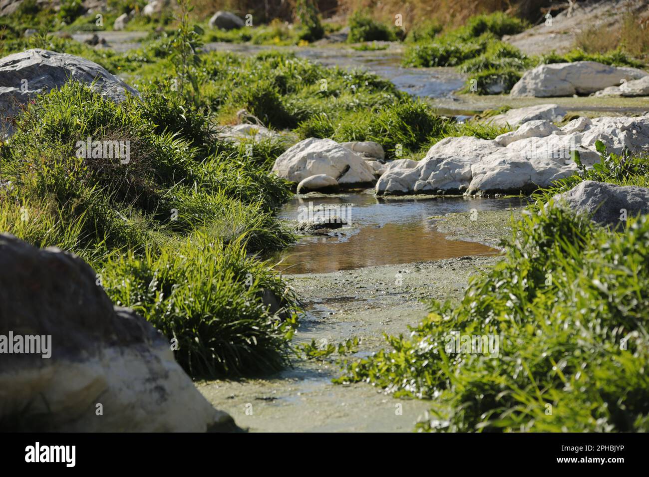 Little water in the Almanzora river in Cantoria, Spain Stock Photo - Alamy