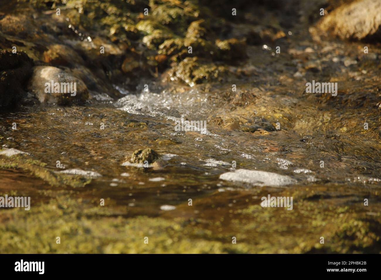 Little water in the Almanzora river in Cantoria, Spain Stock Photo - Alamy